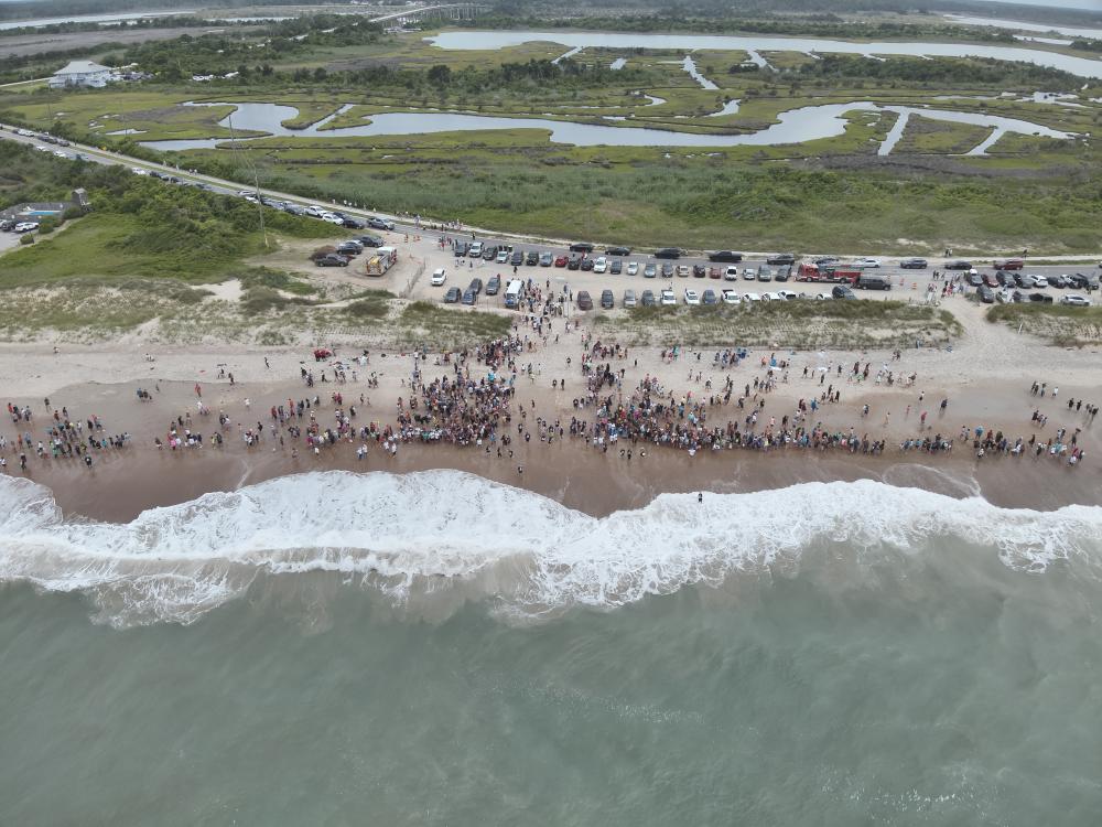 A turtle-y awesome day on NTB! | North Topsail Beach North Carolina