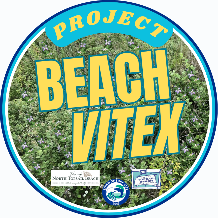 Beach Vitex Eradication Project | North Topsail Beach North Carolina